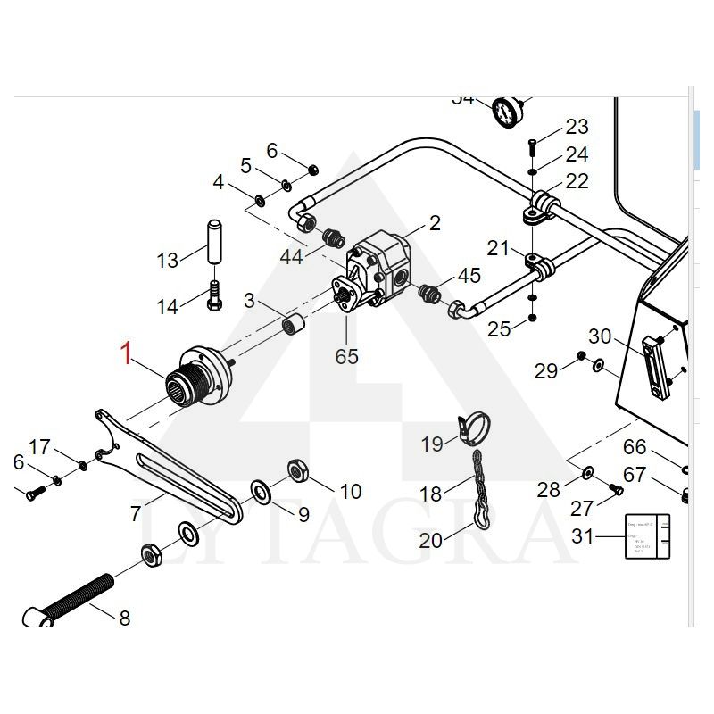 00280213 Sankaba 1 3/4" | LYTAGRA